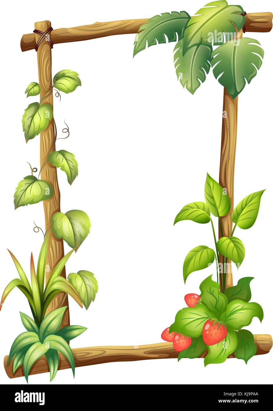 Illustration of a wooden frame with different leaves on a white ...