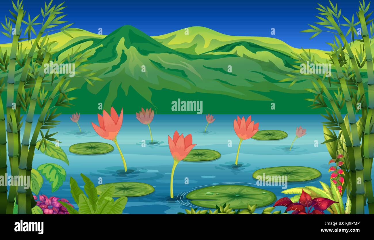 Flowers leaves water lily Stock Vector Images - Alamy