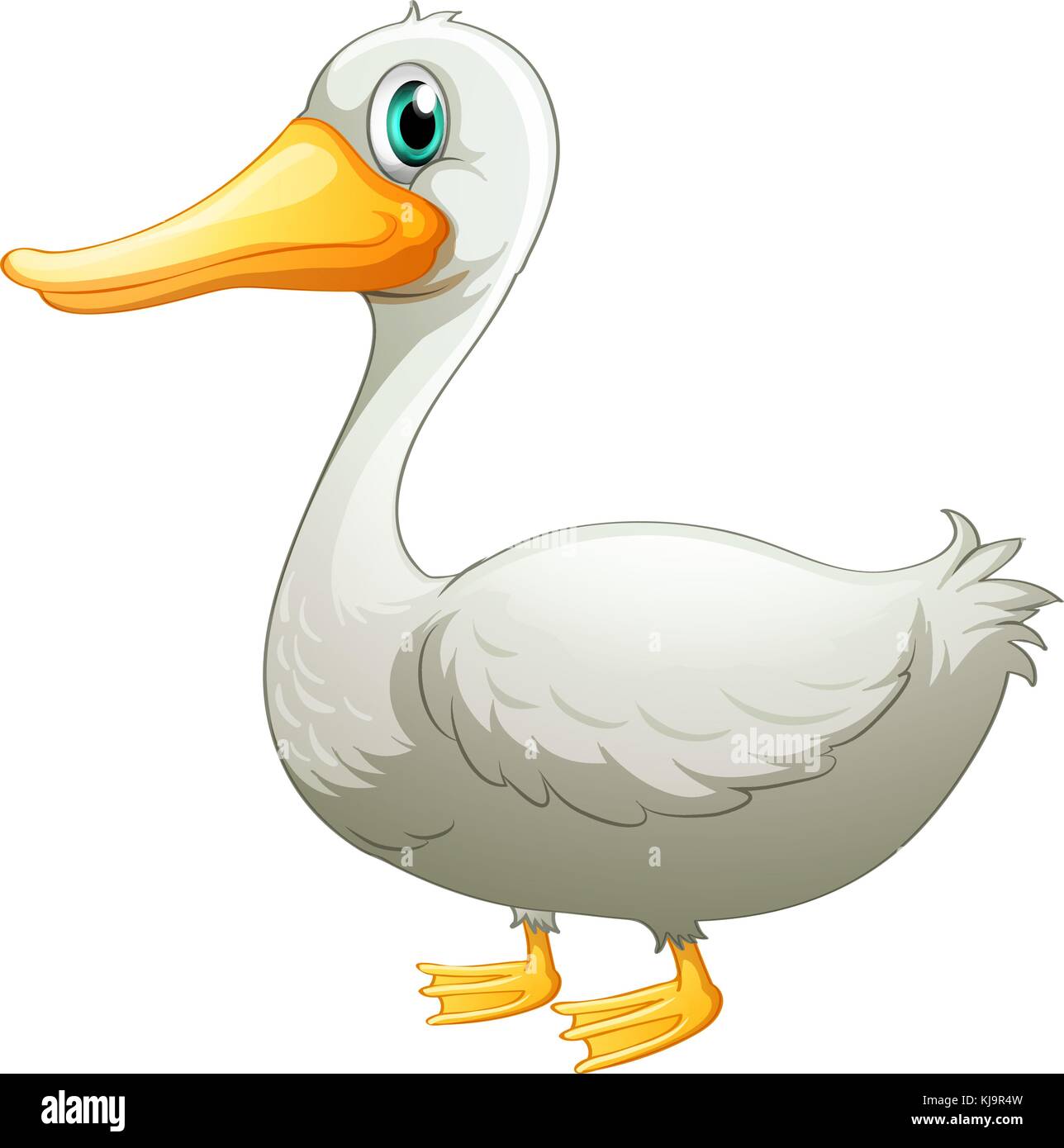 Long legged duck Stock Vector Images - Alamy