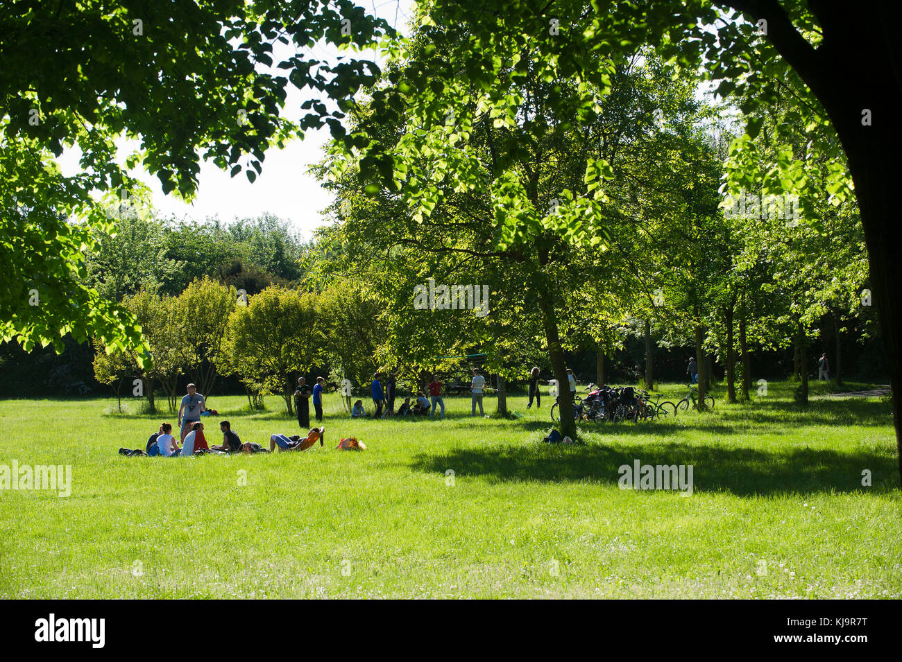 Parco Nord Milano is a metropolitan suburban park located on the ...