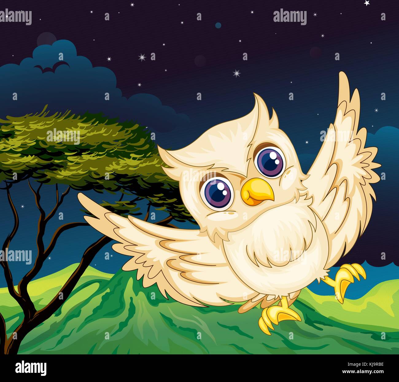Illustration of a nocturnal creature Stock Vector Image & Art - Alamy