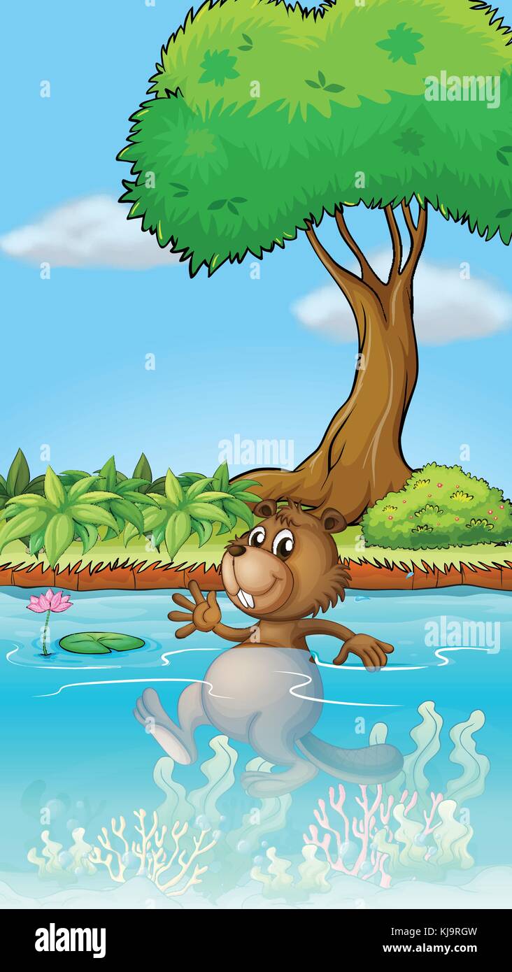 Illustration of a swimming beaver Stock Vector Image & Art - Alamy