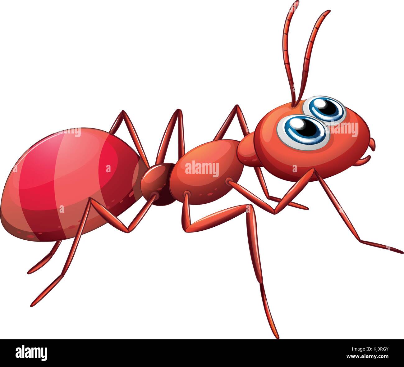 Red big ants crawling on hi-res stock photography and images - Alamy