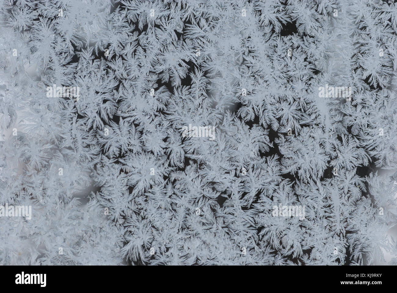 frosty patterns in the window Stock Photo - Alamy