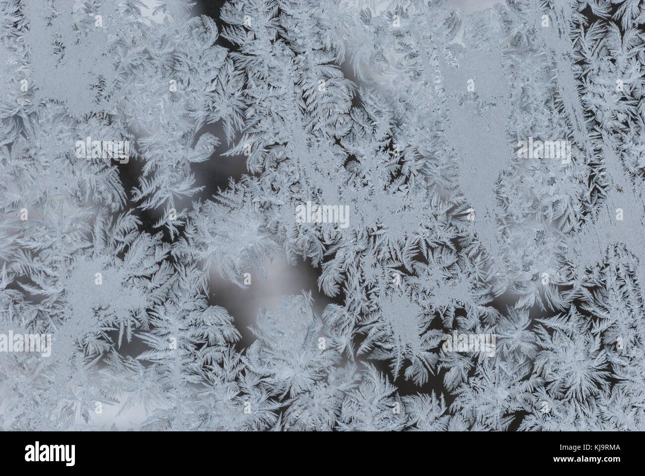 Frost design hi-res stock photography and images - Alamy