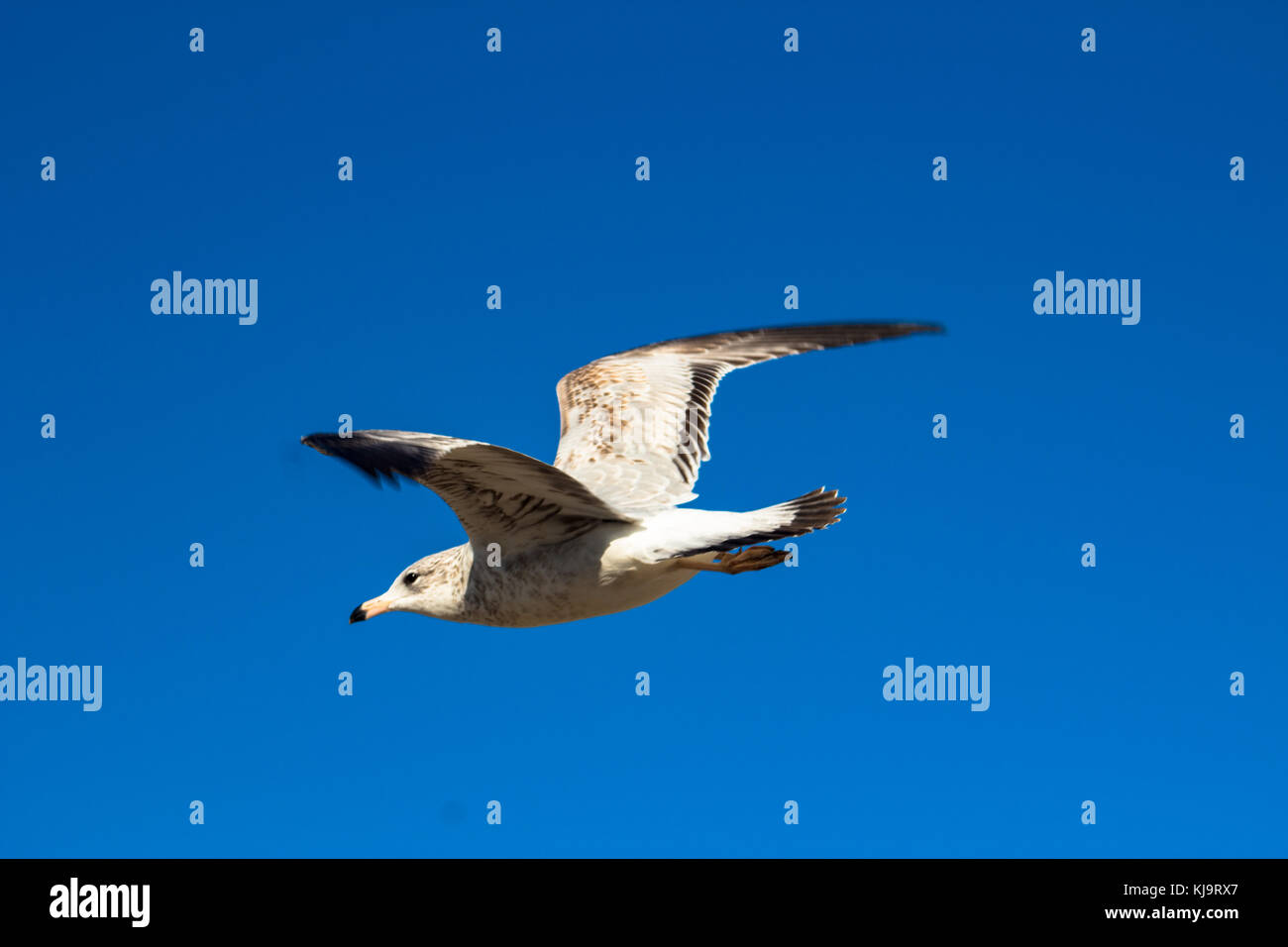 Individual order hi-res stock photography and images - Alamy