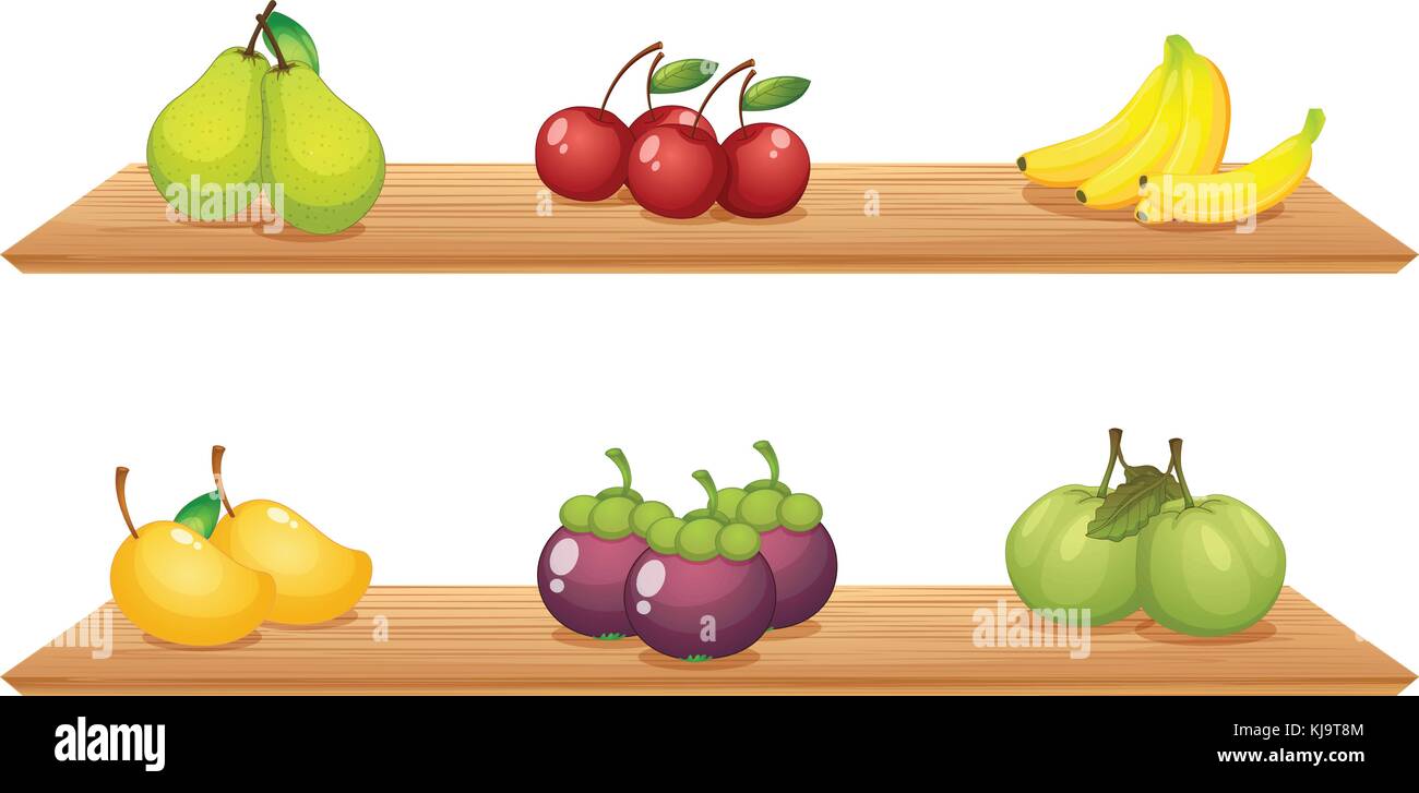 Illustration of the six different kinds of fruits in the wooden shelves ...