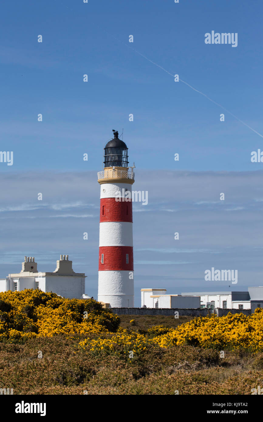 Point of Ayre Lighthouse, Isle of Man Stock Photo - Alamy