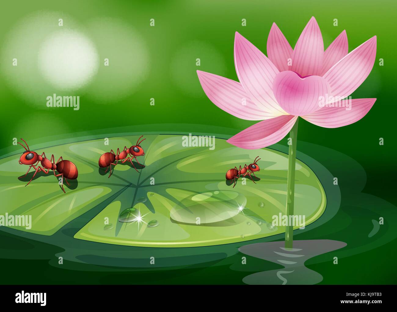 Red water drop cartoon green Stock Vector Images - Alamy