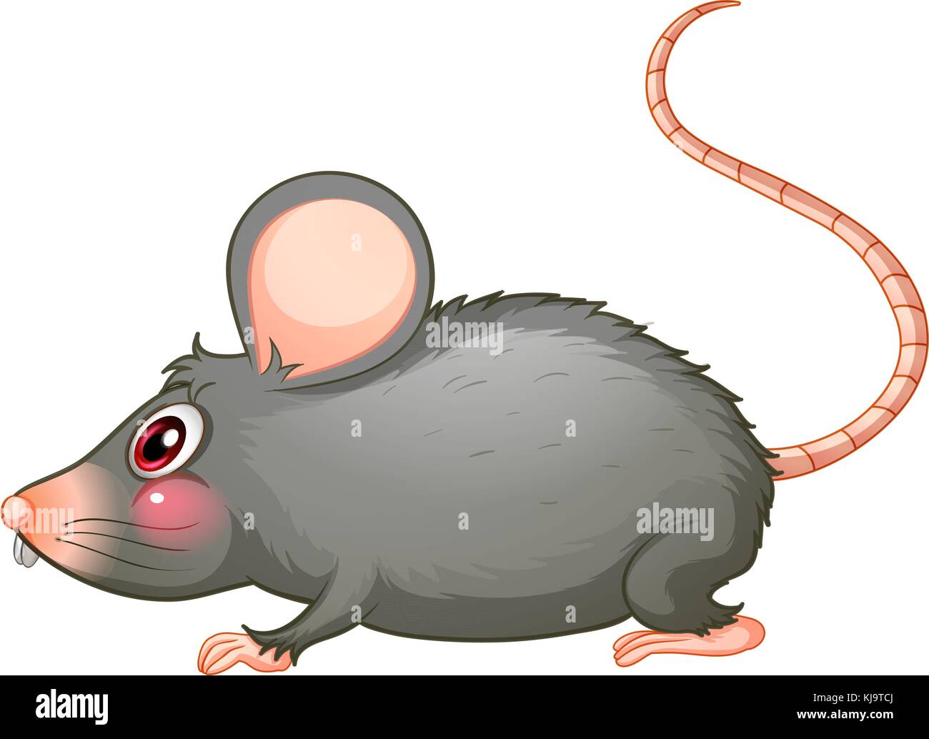 Illustration of a gray rat on a white background Stock Vector Image ...