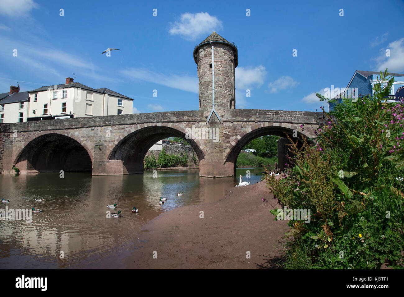 Monnow bridge in Monmouth Stock Photo - Alamy