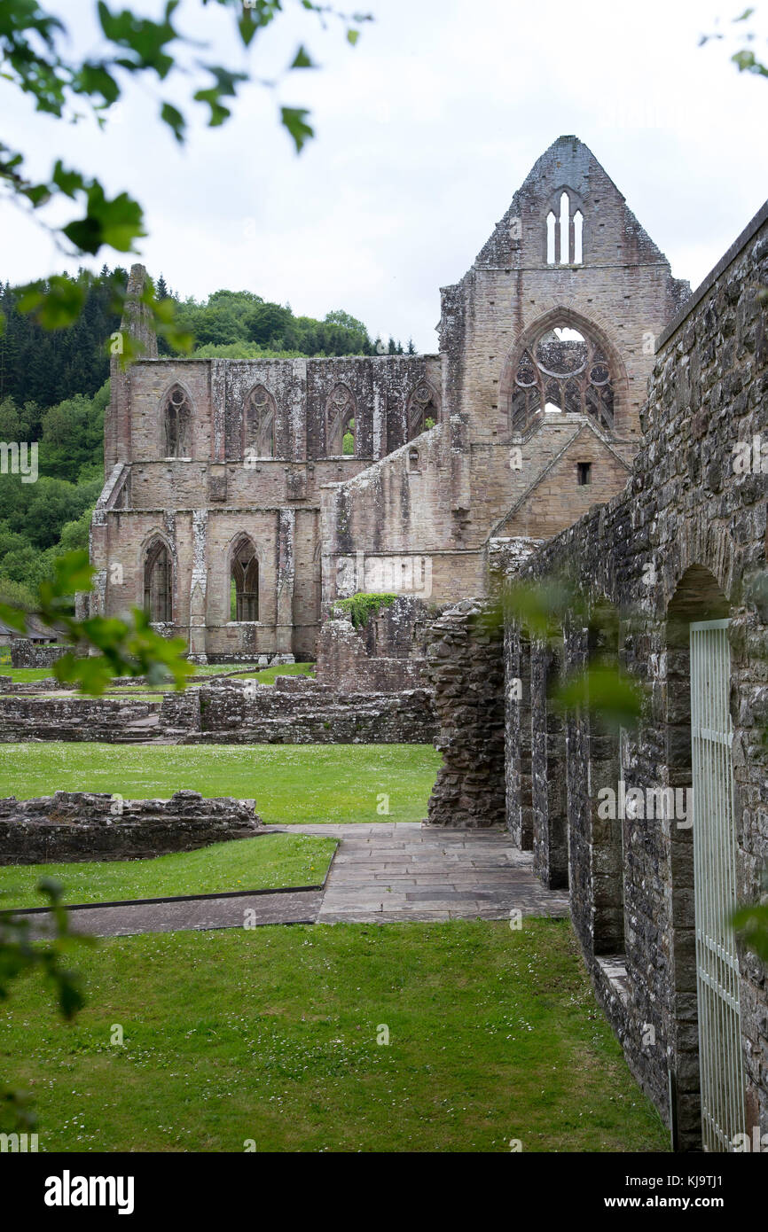 Tintern Abbey views Stock Photo - Alamy