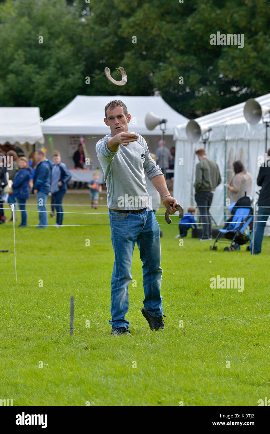 Horse shoe throwing competition at annual Muff Festival, County Donegal ...