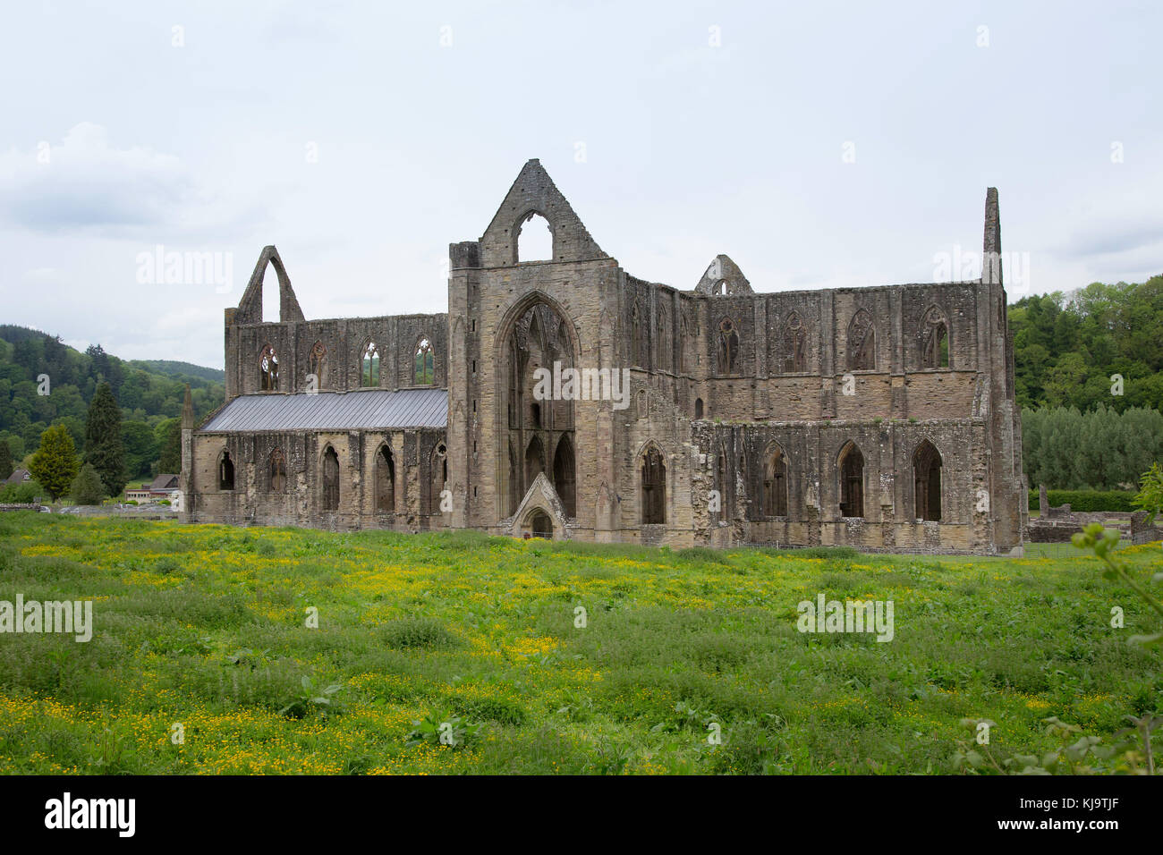 Tintern Abbey views Stock Photo - Alamy