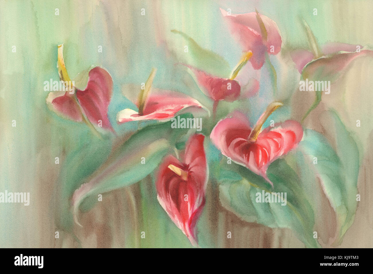 Anthurium. Watercolor hand drawing illustration Stock Photo - Alamy
