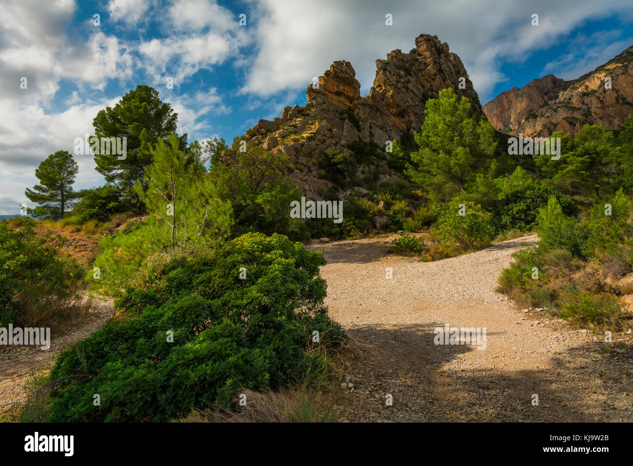 Different paths end hi-res stock photography and images - Alamy