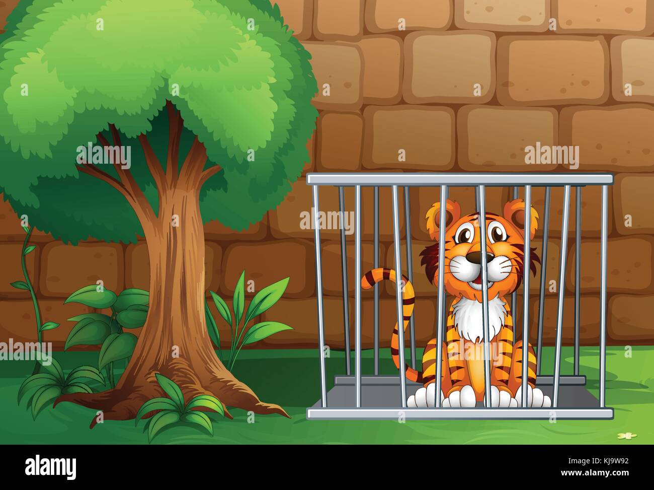 Tiger inside cage hi-res stock photography and images - Alamy