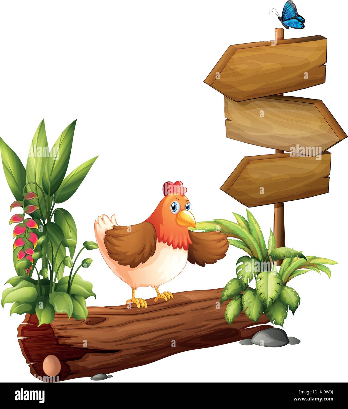 Illustration of a chicken near the arrow board on a white background ...