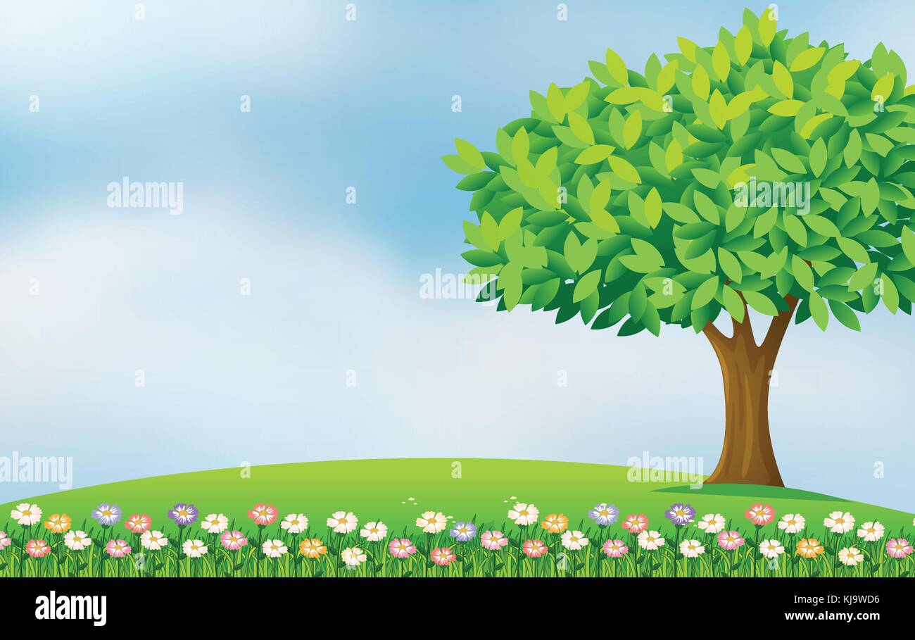 Field flowers on valley Stock Vector Images - Alamy