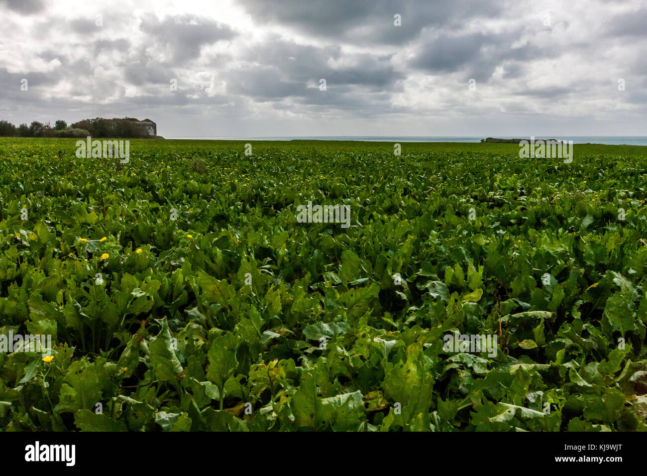Beaches on the Dunkirk coast, France Stock Photo - Alamy