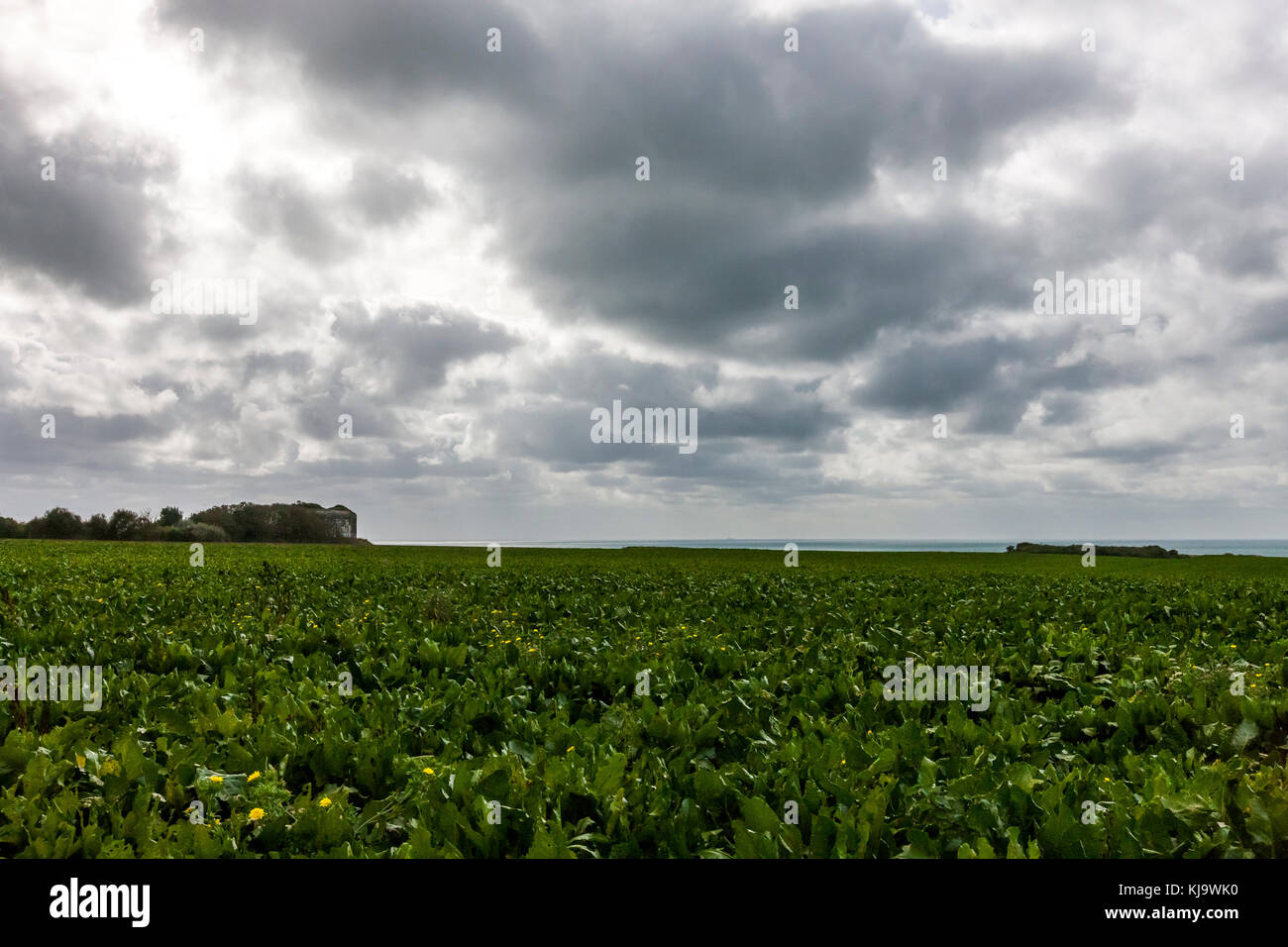 Beaches on the Dunkirk coast, France Stock Photo - Alamy