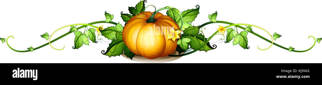 Pumpkin Vine Border Clip Art