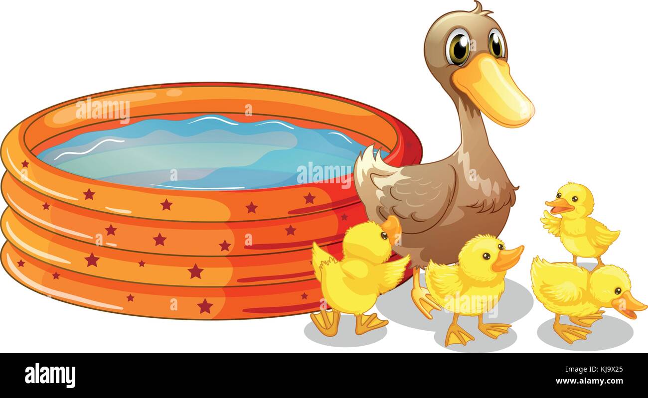 Ducks on swimming pool Stock Vector Images - Alamy