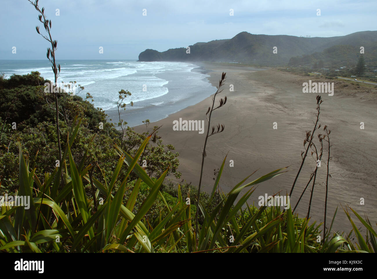 Piha Beach, New Zealand Stock Photo - Alamy