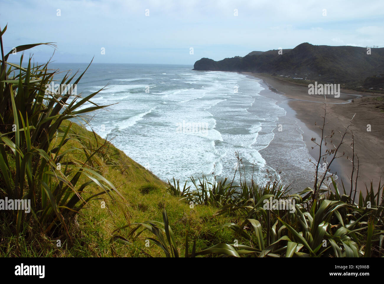 Piha Beach, New Zealand Stock Photo - Alamy
