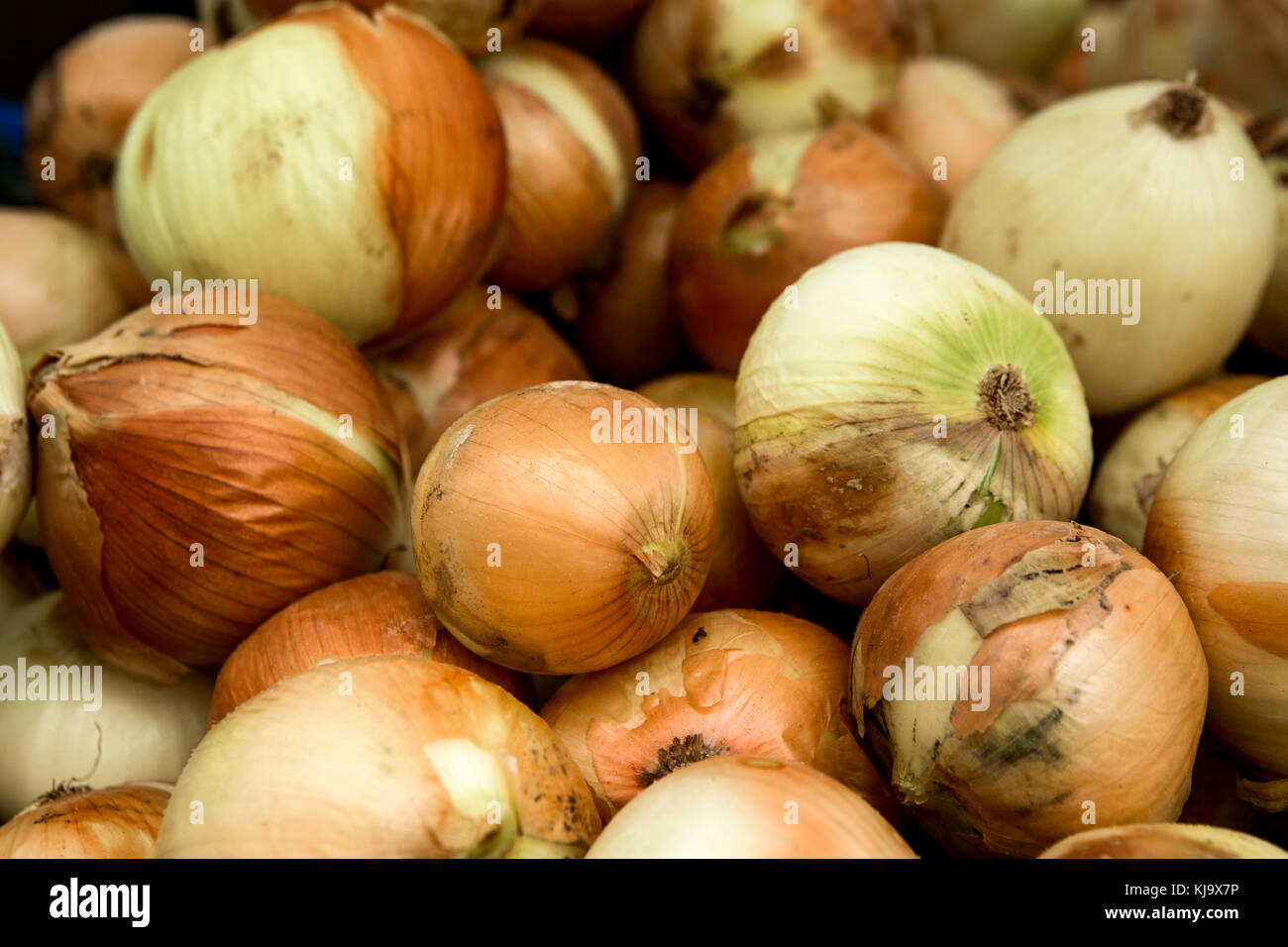 Organic onions from a local market Stock Photo - Alamy