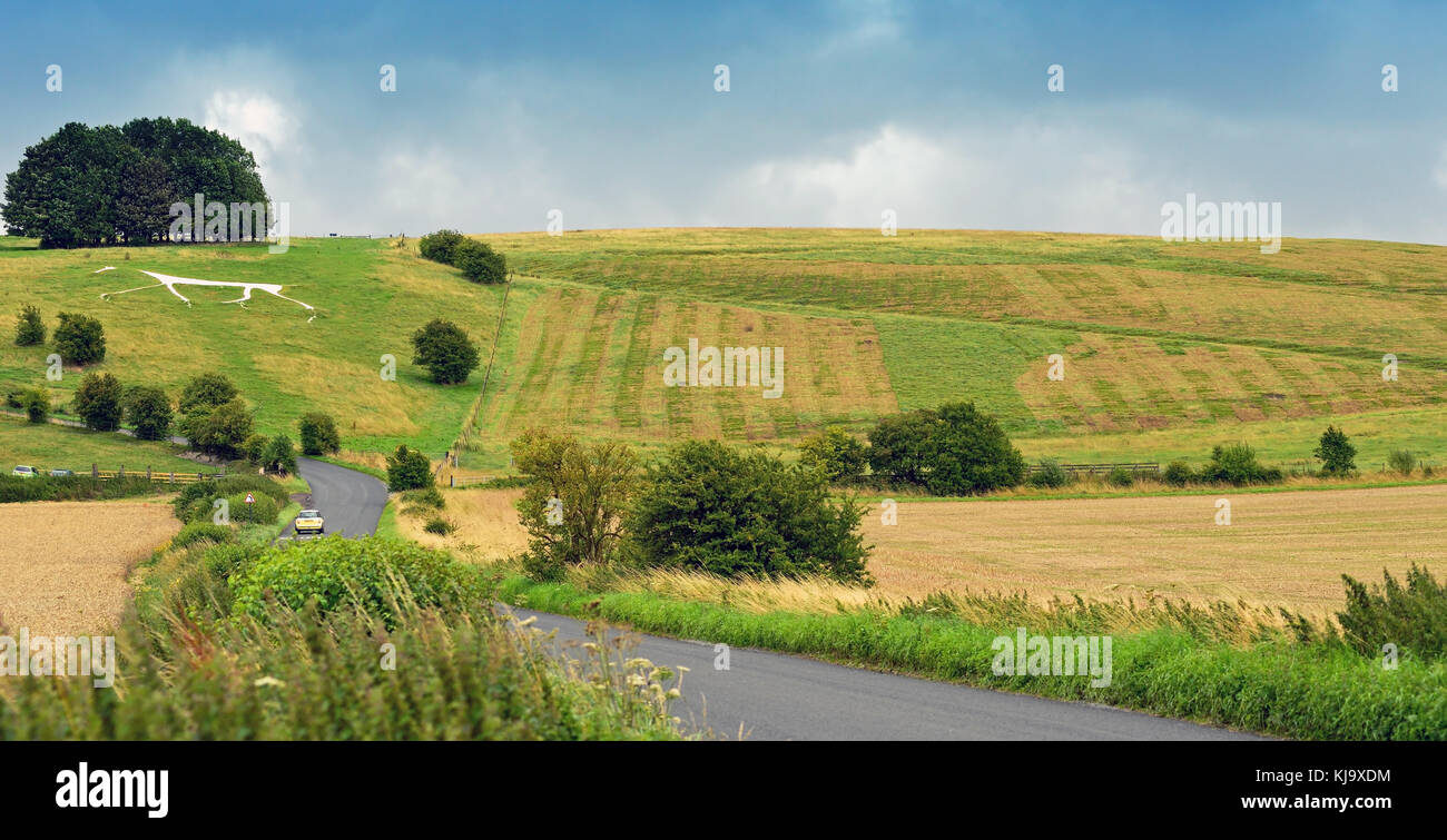 Hackpen Hill white horse and the Ridgeway Stock Photo - Alamy