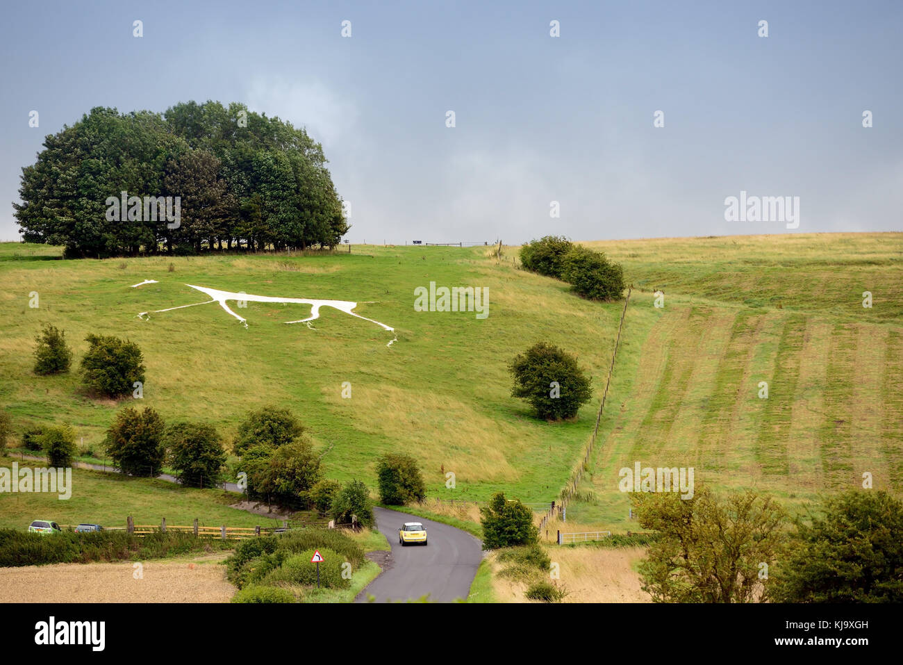 Hackpen Hill white horse and the Ridgeway Stock Photo - Alamy