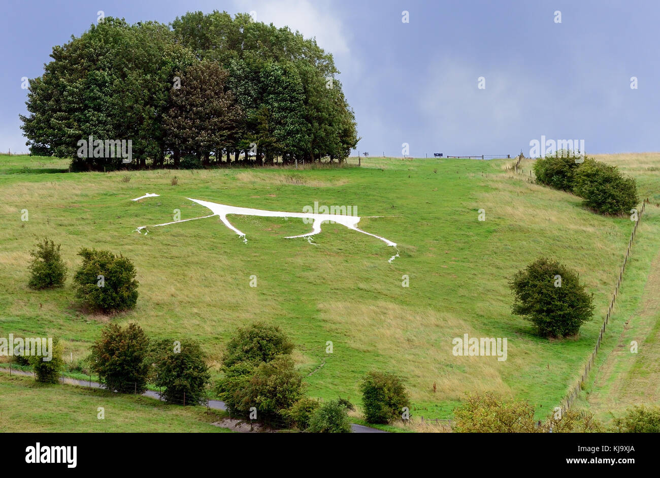 Hackpen Hill white horse and the Ridgeway Stock Photo - Alamy
