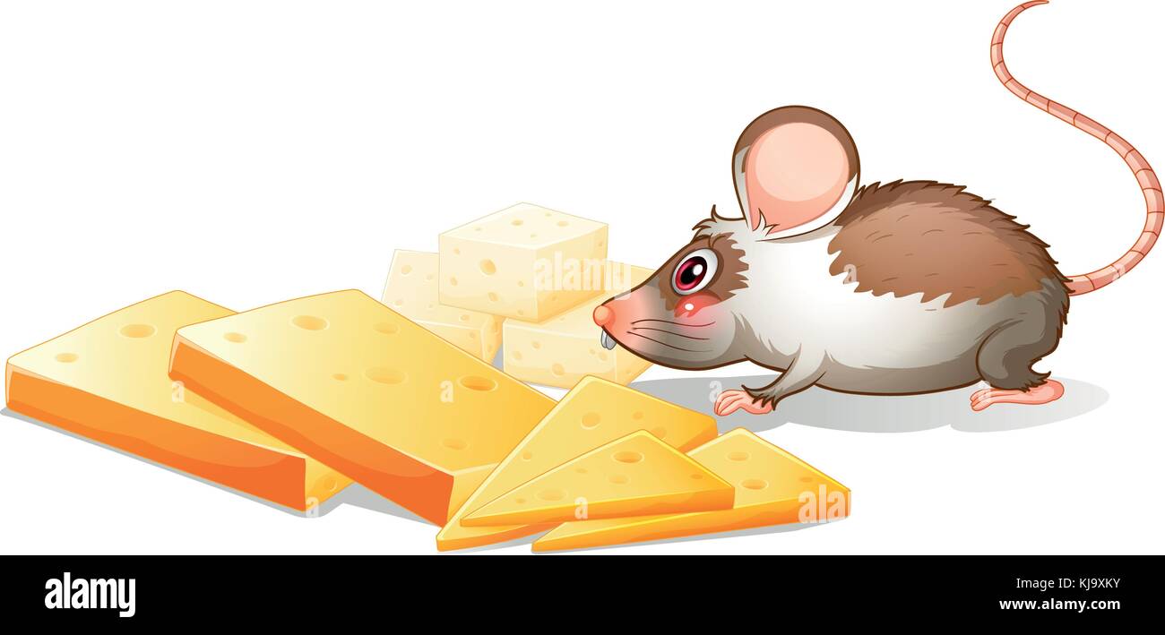 Illustration of the slices of cheese with a mouse on a white background ...
