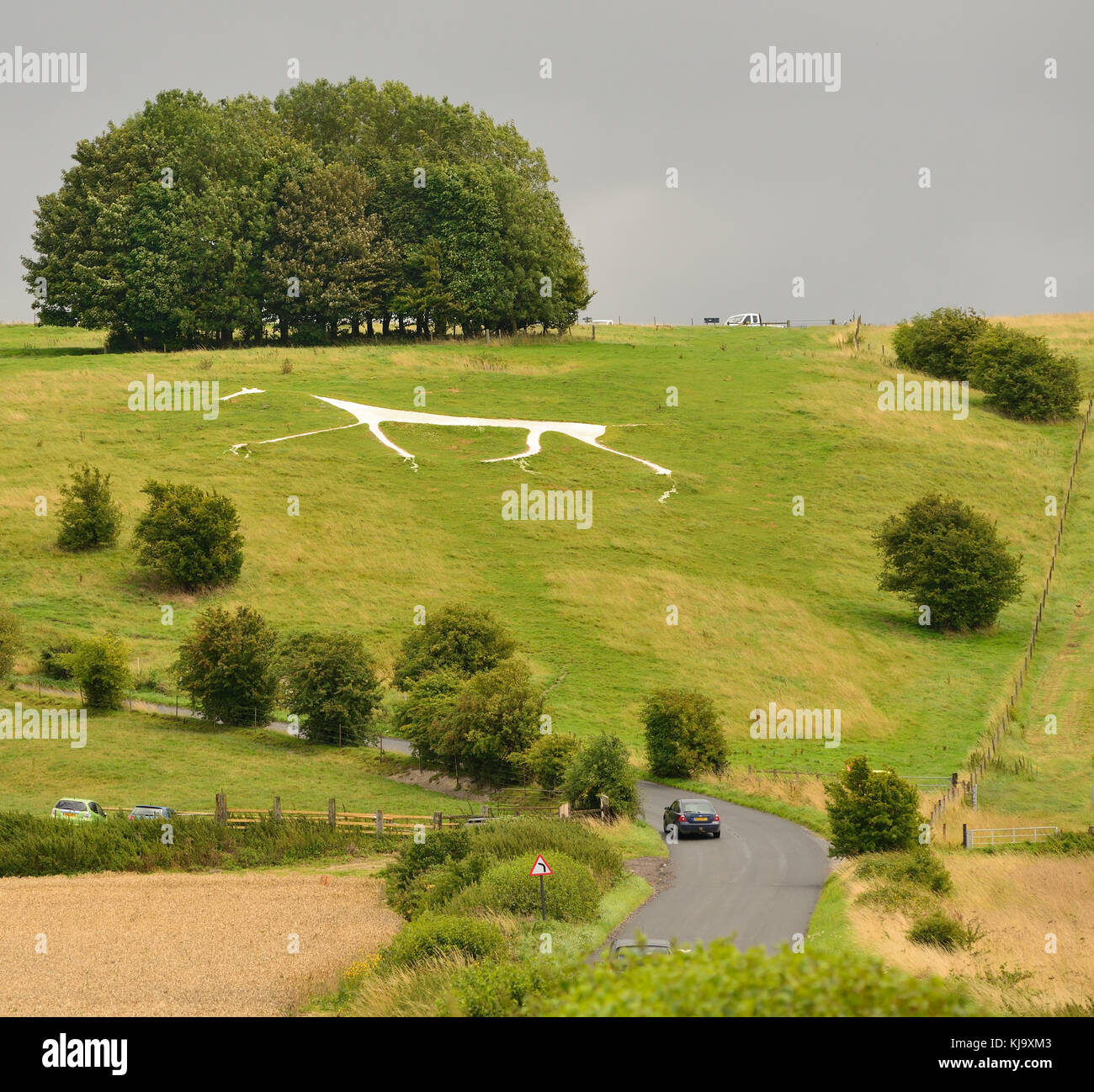 Hackpen Hill white horse and the Ridgeway Stock Photo - Alamy
