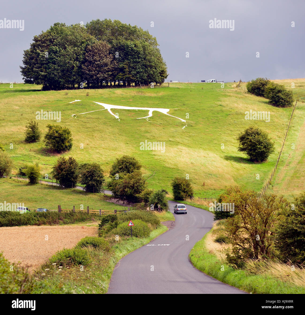 Hackpen Hill white horse and the Ridgeway Stock Photo - Alamy