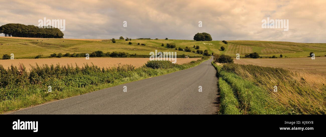Hackpen Hill white horse and the Ridgeway Stock Photo - Alamy