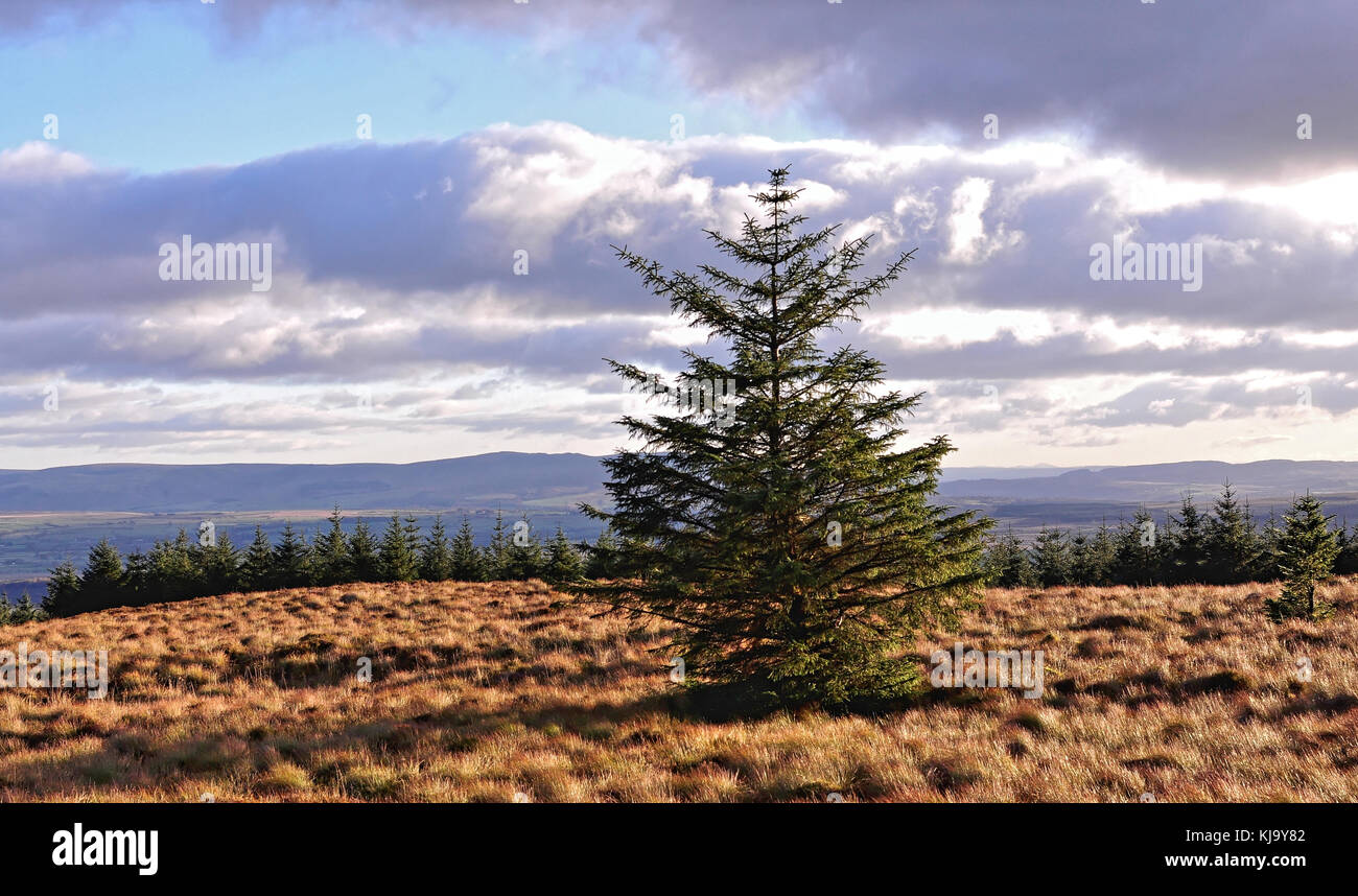 Scotland Highlands Trossachs Stirlingshire Landscape Daytime Stock ...