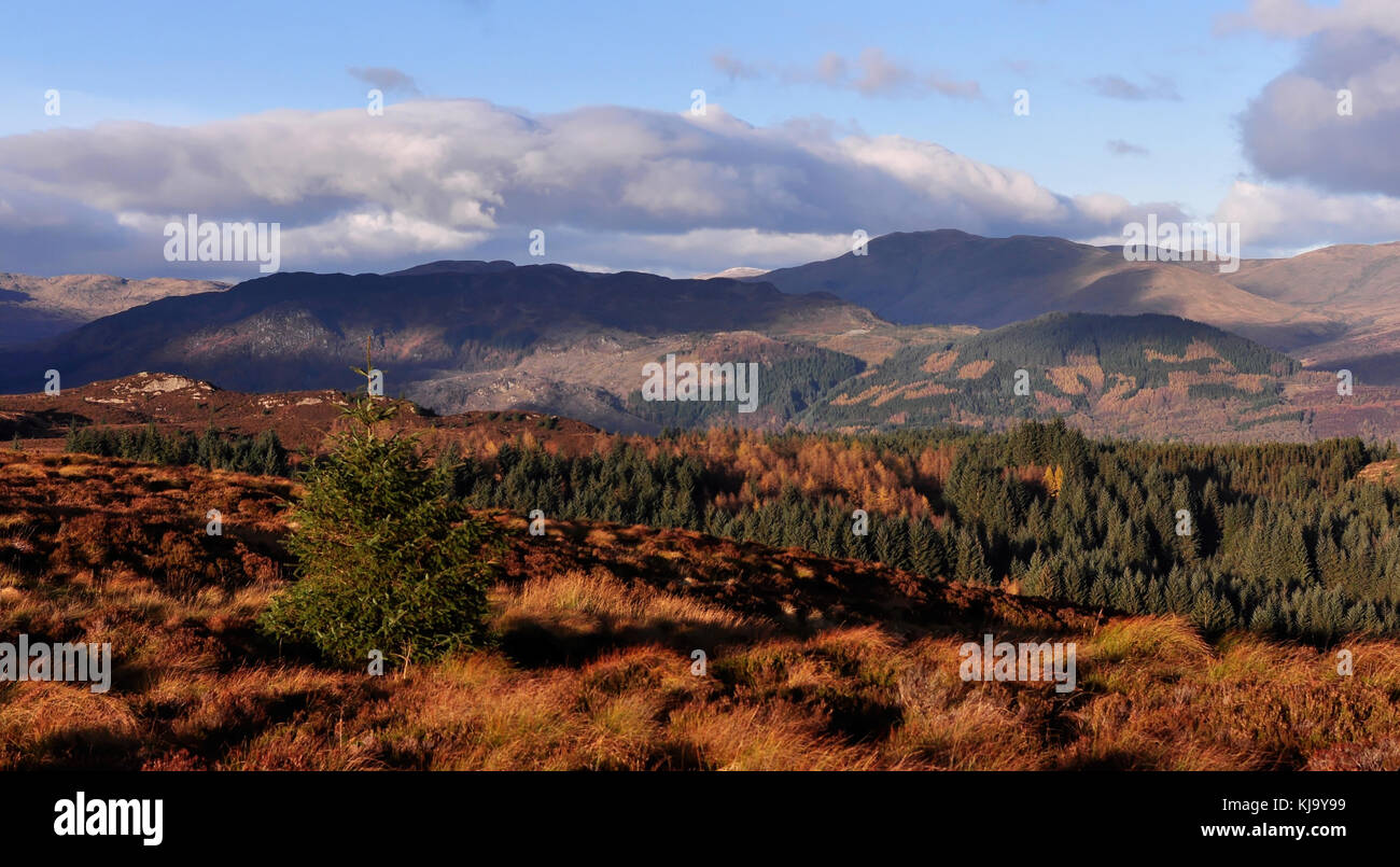Scotland Highlands Trossachs Stirlingshire Landscape Daytime Stock ...