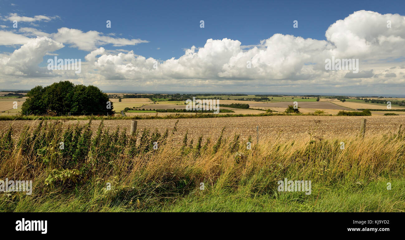 Panoramic view across Wiltshire from Hackpen hill, looking west Stock ...