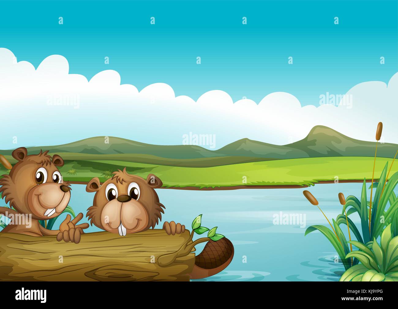 Illustration of the two beavers Stock Vector Image & Art - Alamy