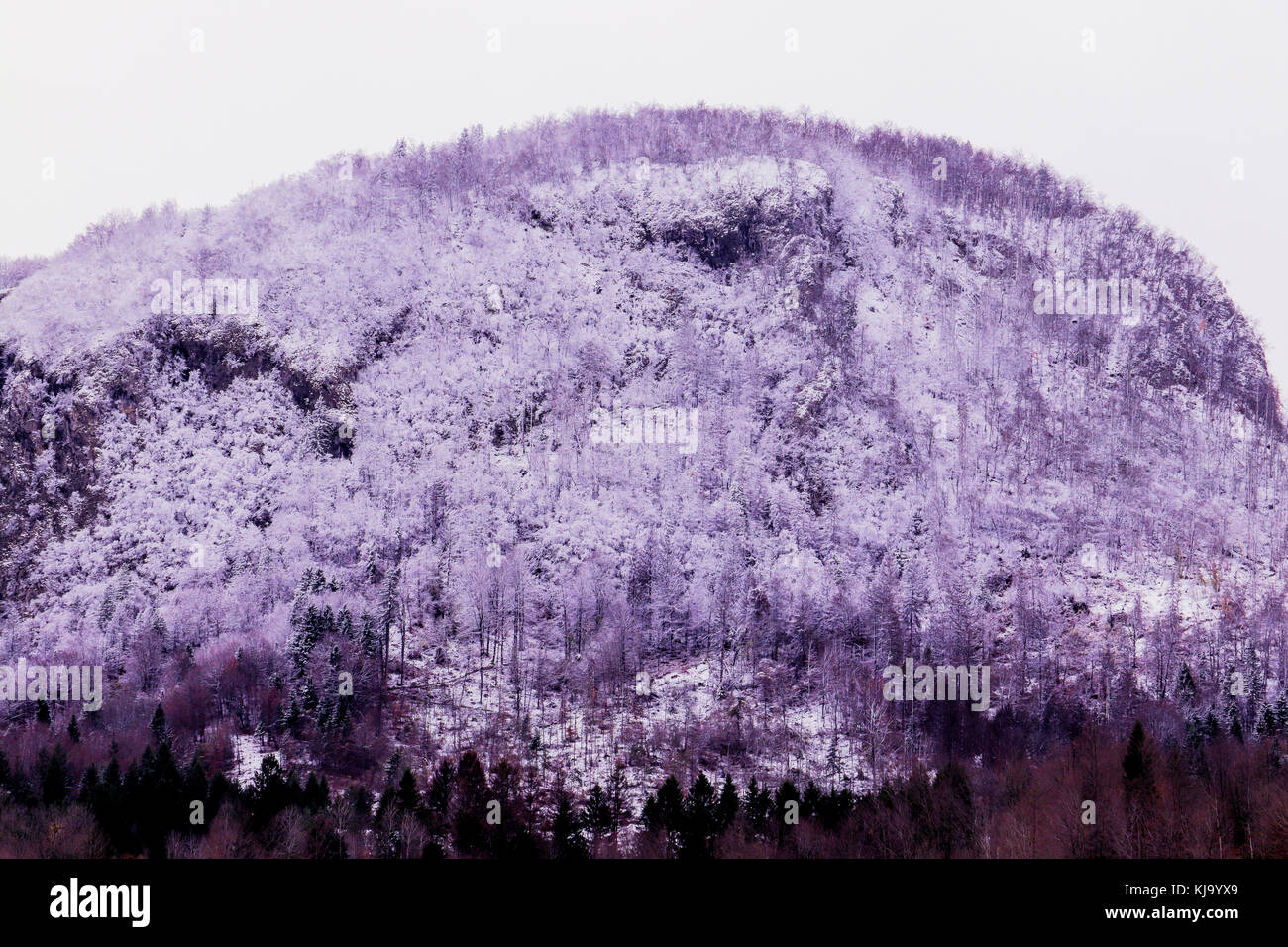 small hill covered with first snow Stock Photo - Alamy
