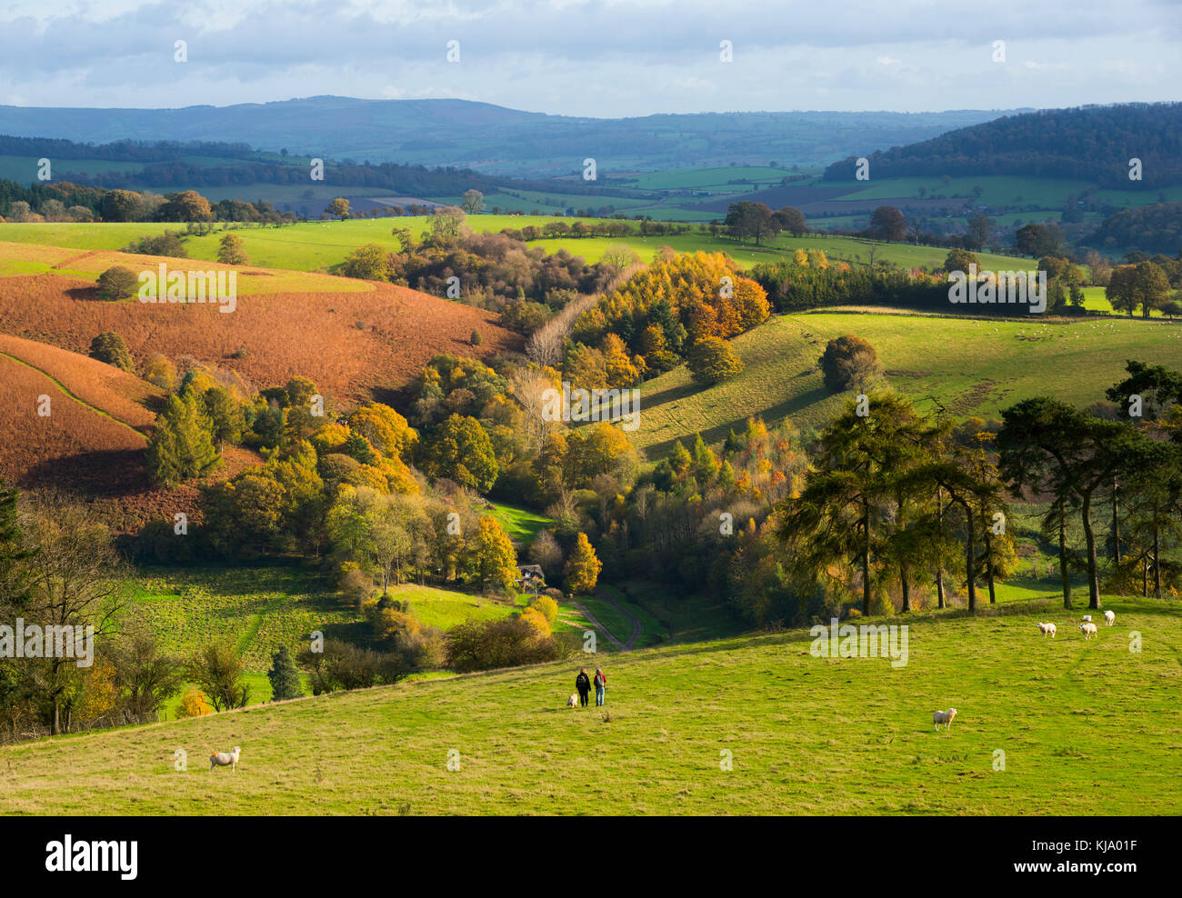 Hopesay village hi-res stock photography and images - Alamy