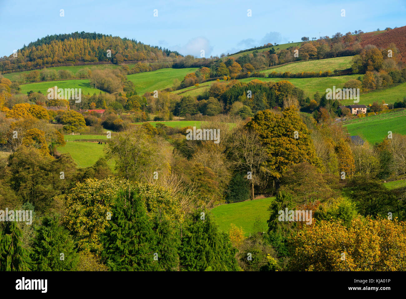 The south Shropshire countryside above the village of Hopesay with Wart ...