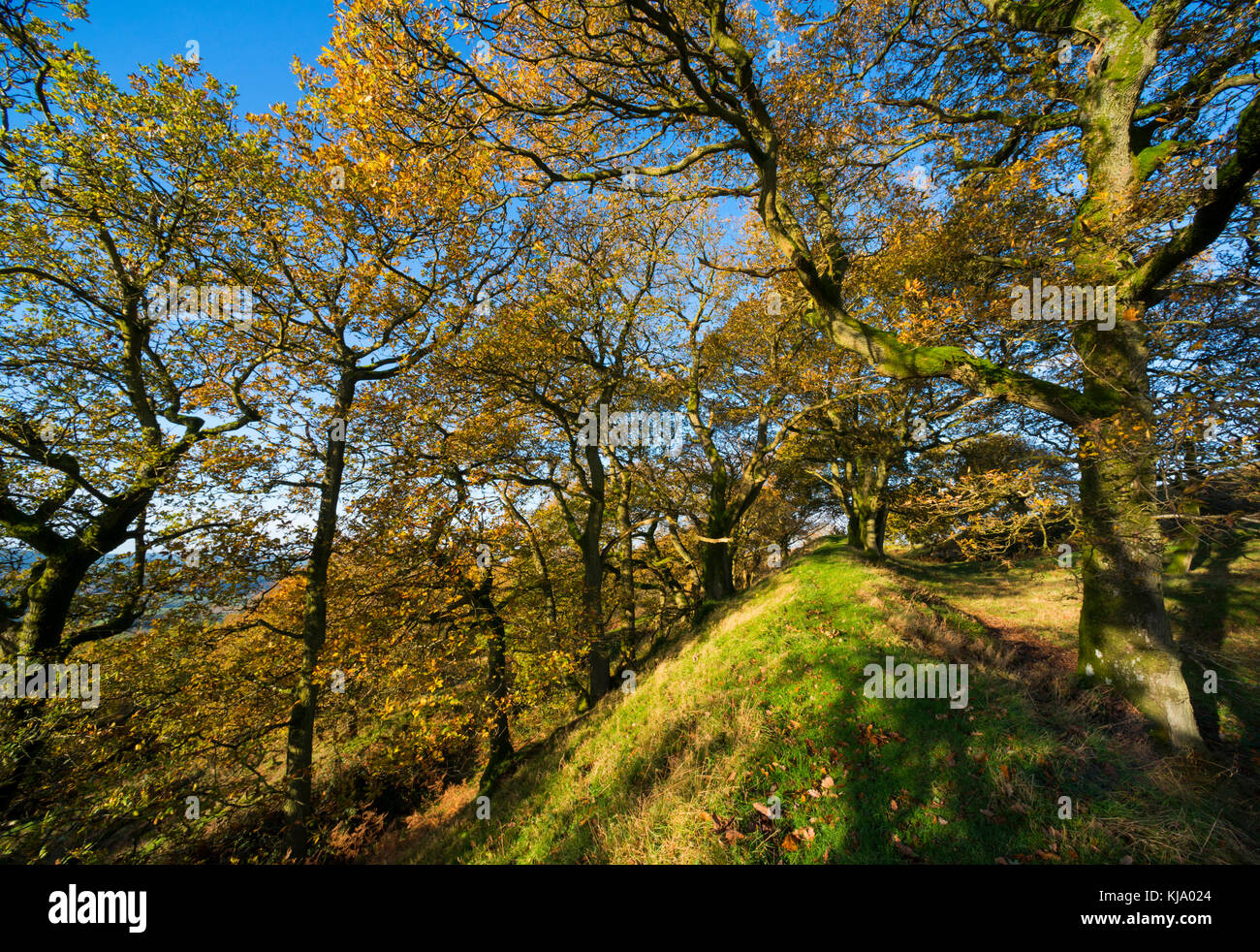 Shropshire hopesay hill hi-res stock photography and images - Alamy