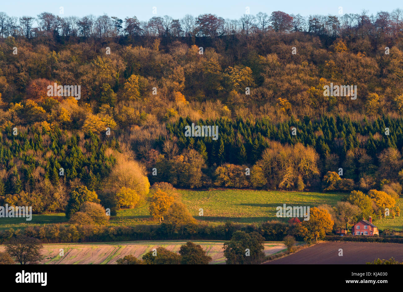 Wenlock edge shropshire england uk hi-res stock photography and images ...