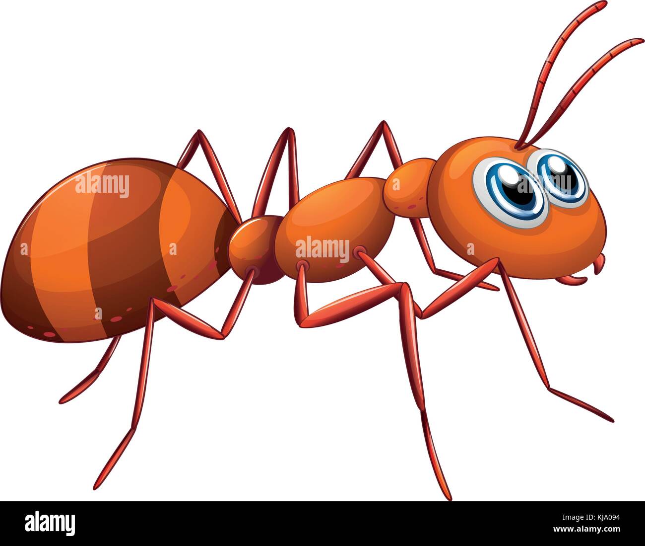 Illustration of an ant on a white background Stock Vector Image & Art ...