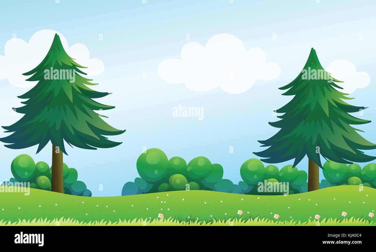 Illustration of the pine trees at the hilltop Stock Vector Image & Art ...