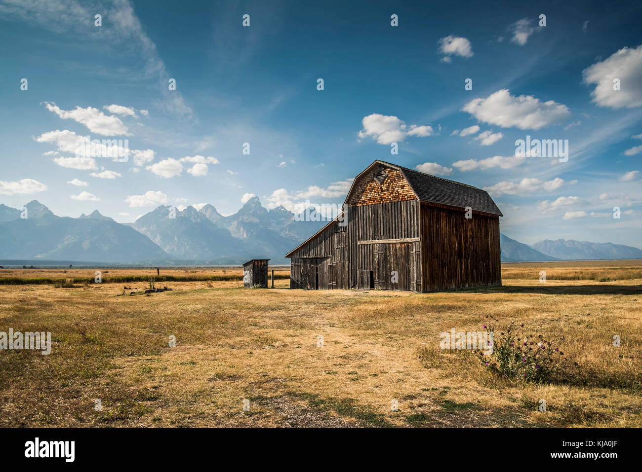 Abandoned Moulton style barn at Mormon Row on Antelope Flats ...