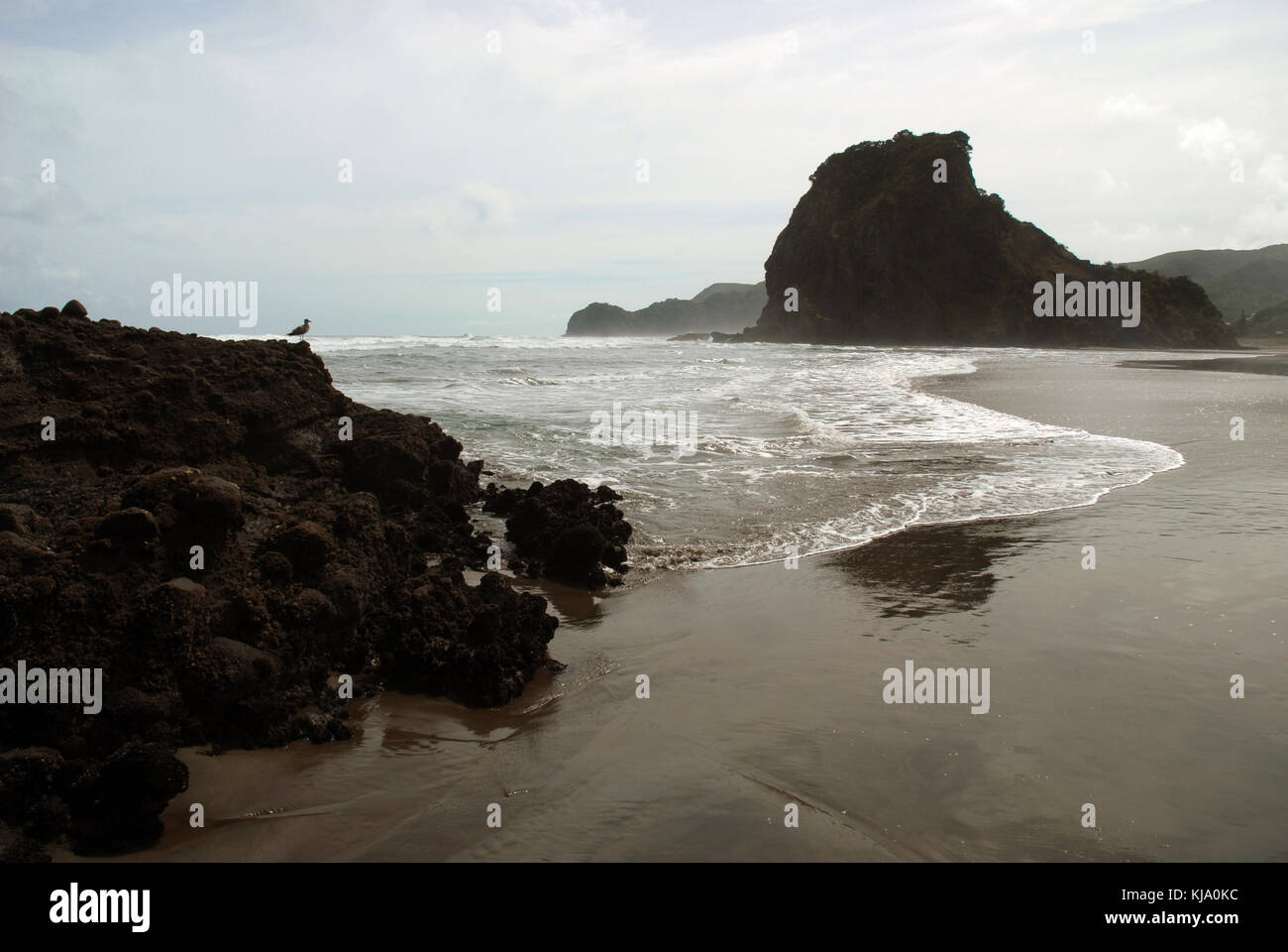 Piha Beach, New Zealand Stock Photo - Alamy